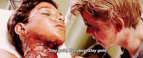 Stay Gold Ponyboy Gif